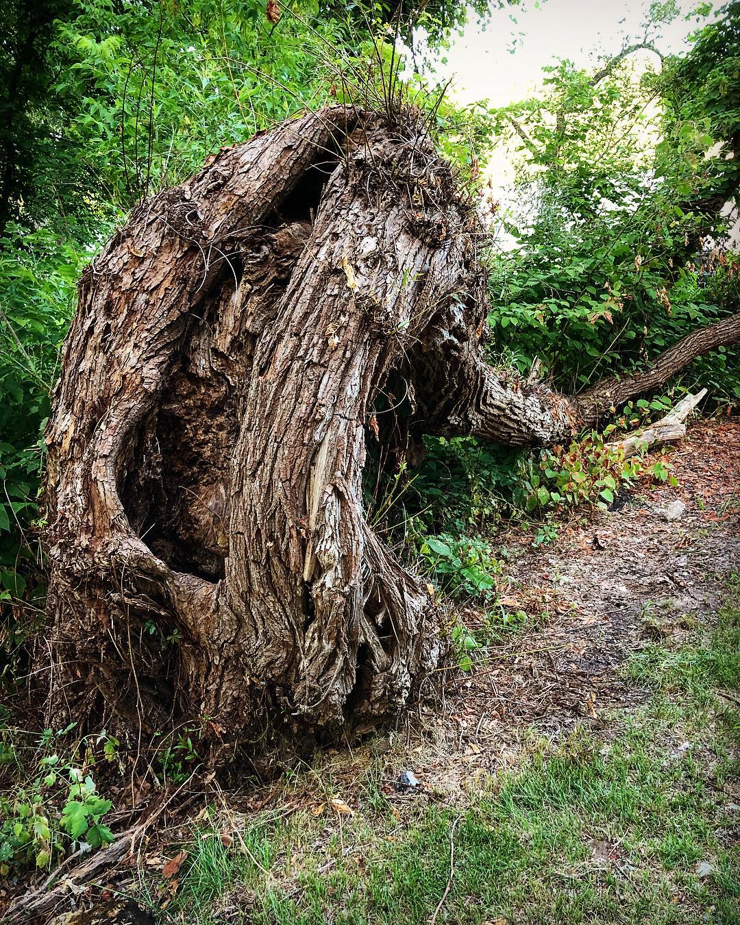 Snuffleupagus Tree | Francis DiClemente